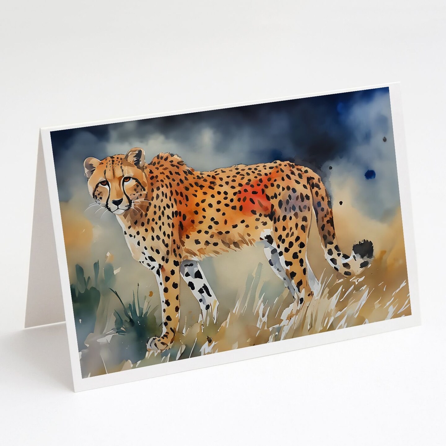 Edge Collections - 5" x 7" - Whimsical Greeting Cards for Every ...