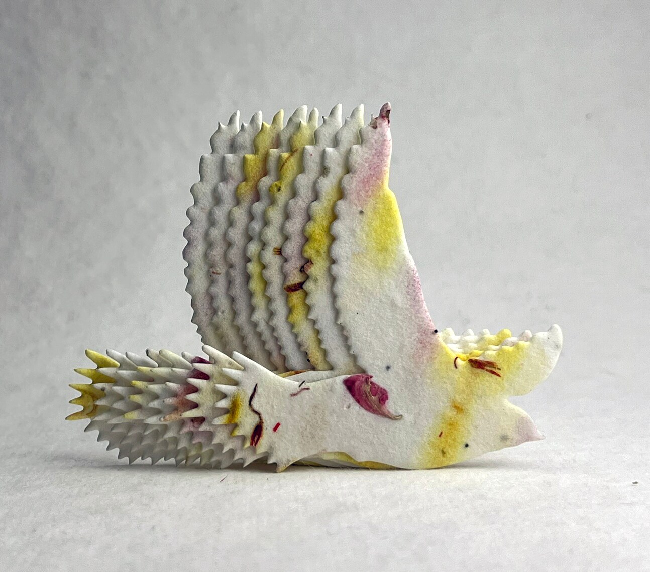 Wildflower Seed Paper Birds - Cotton Paper Embedded with Petals Seeds ...