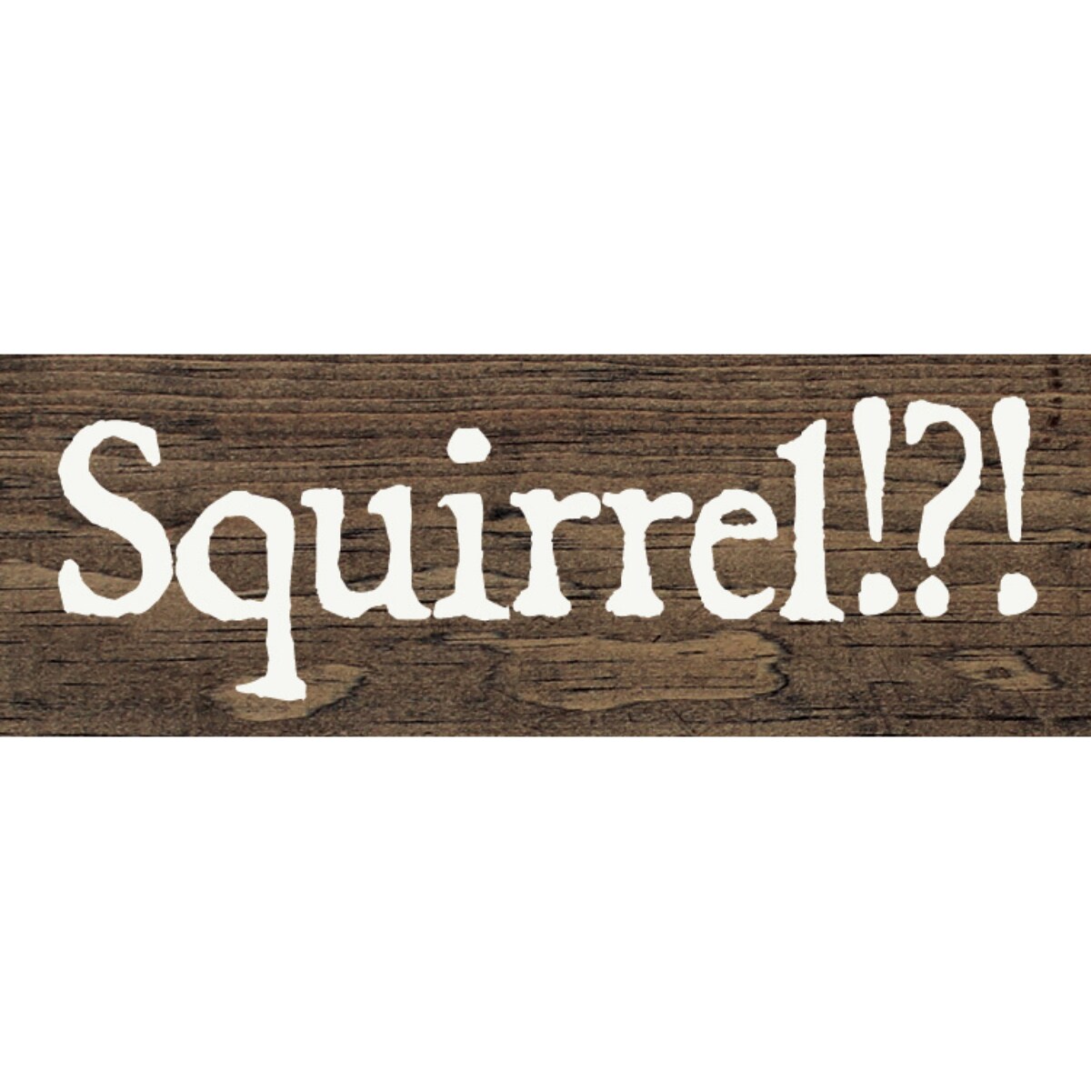 Rustic Knotty Pine Wood Sign - Squirrel!? - Wall Decor | Michaels