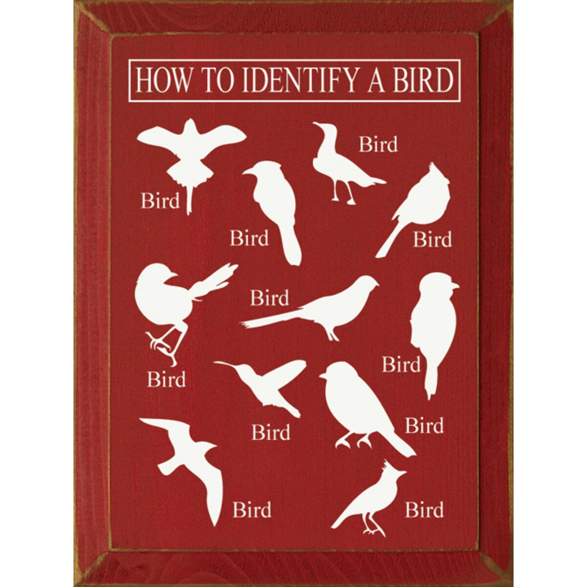 Solid Knotty Pine Bird Identification Sign - Wall Decor with Bird ...