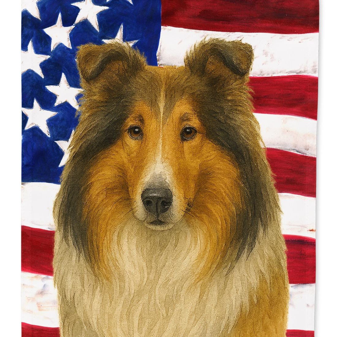 Edge Collections - 28" X 40" - White - Sable and Merle Collie Large - 1 ...