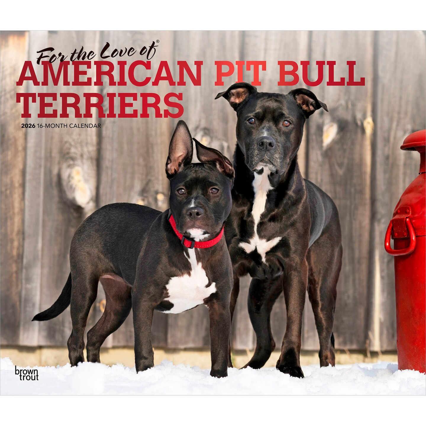 American Pit Bull Terriers | 2026 14 x 24 Inch (Hanging) Monthly Deluxe ...