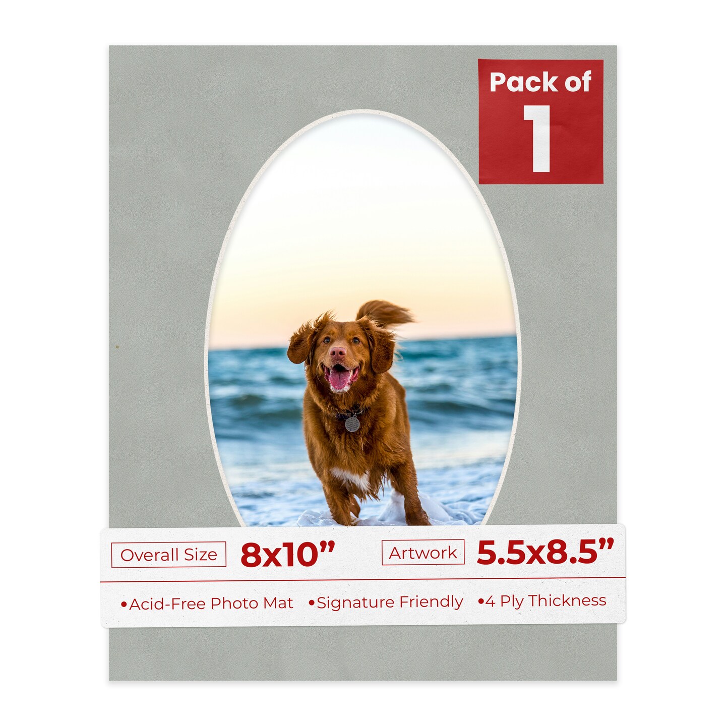 Light Grey Suede Mat Board for 8x10 Frames - Oval Opening for 5.5x8.5 ...