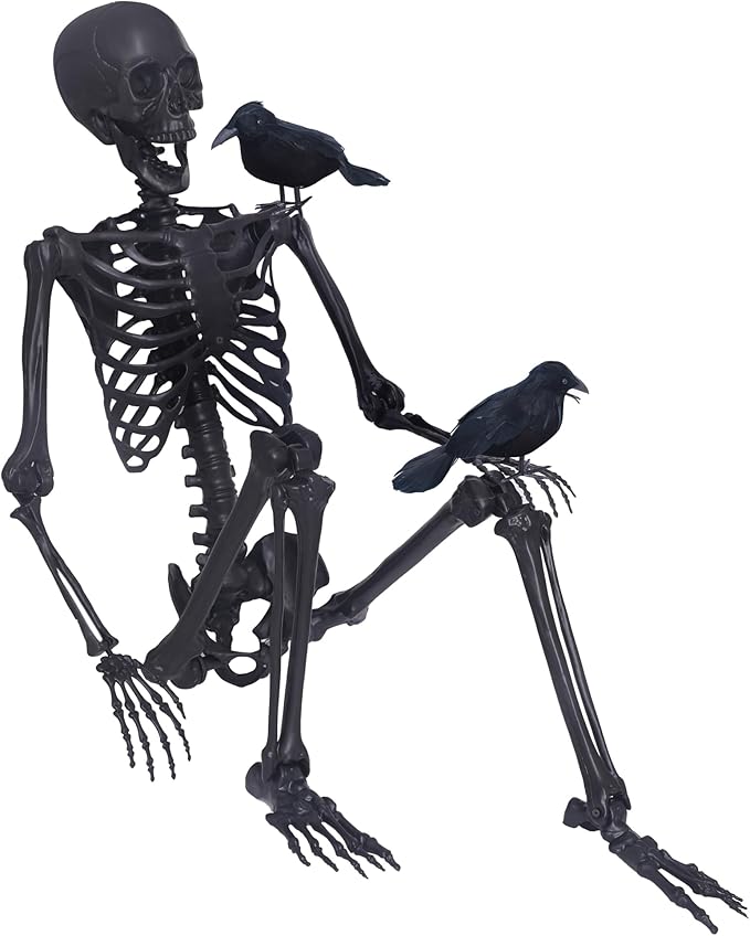 5.4Ft Halloween Skeleton,Posable Skeleton Full Size Skeleton with ...