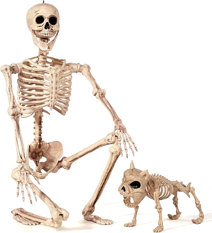 Skeleton Halloween Decor 5.6 FT Life Size Human Poseable Skeleton with ...
