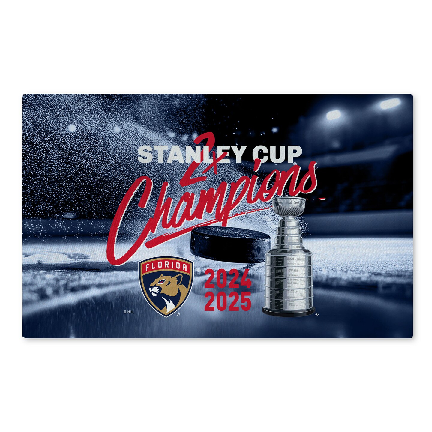 NHL Florida Panthers 2025 Champion Washable Rug 20x32 inches | Michaels