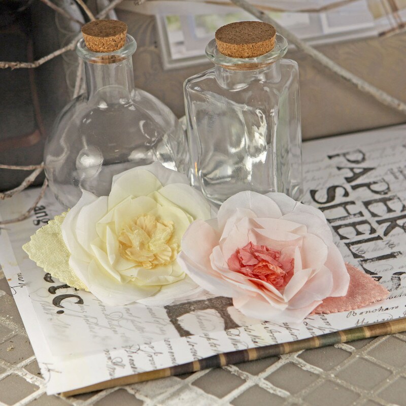 Nicole Nectar | Michaels