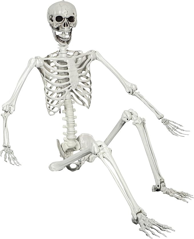 5.4ft Halloween Posable Skeleton Realistic Life Size Human Skeleton ...