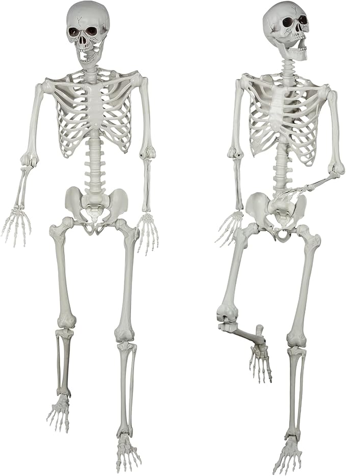 2Packs 5.4ft Halloween Posable Skeleton Realistic Life Size Human ...