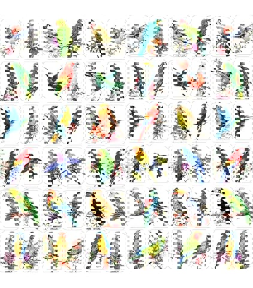 Bird Stickers 1" – 120 Pack Colorful Animal Stickers for Classroom ...