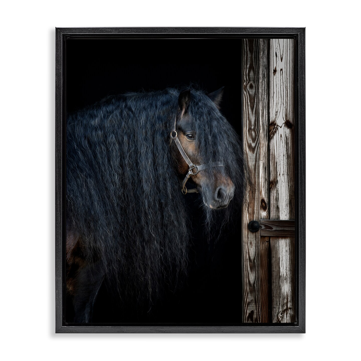Stupell Industries Horse with Wavy Mane Floating Frame By PHBurchett ...
