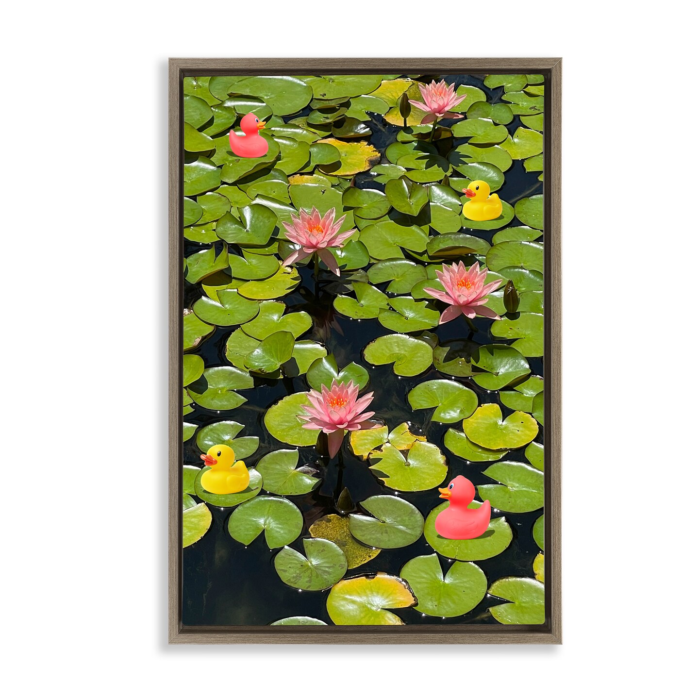 Stupell Industries Rubber Ducks on Pond Lilies Floating Frame Design by ...