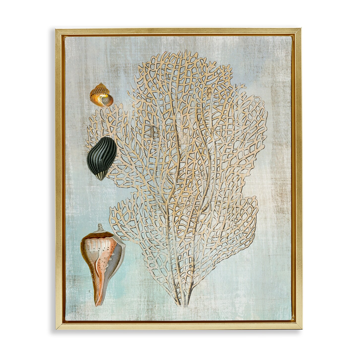 Stupell Industries Detailed Coral & Seashells Floating Frame Design by Susan Arnot | Michaels