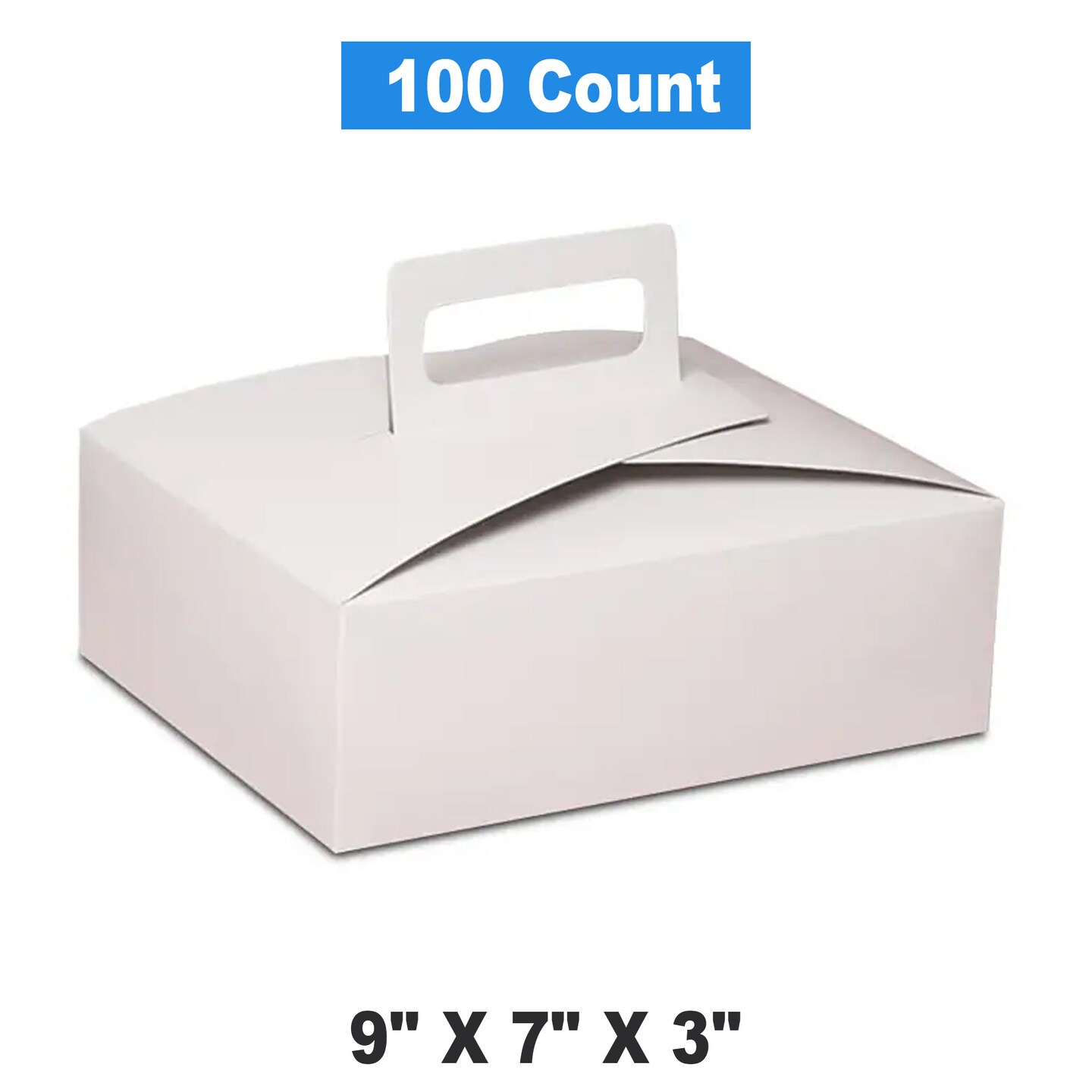 Reusable Flat Take Out Box with Handle 9" x 7" x 3" | Michaels