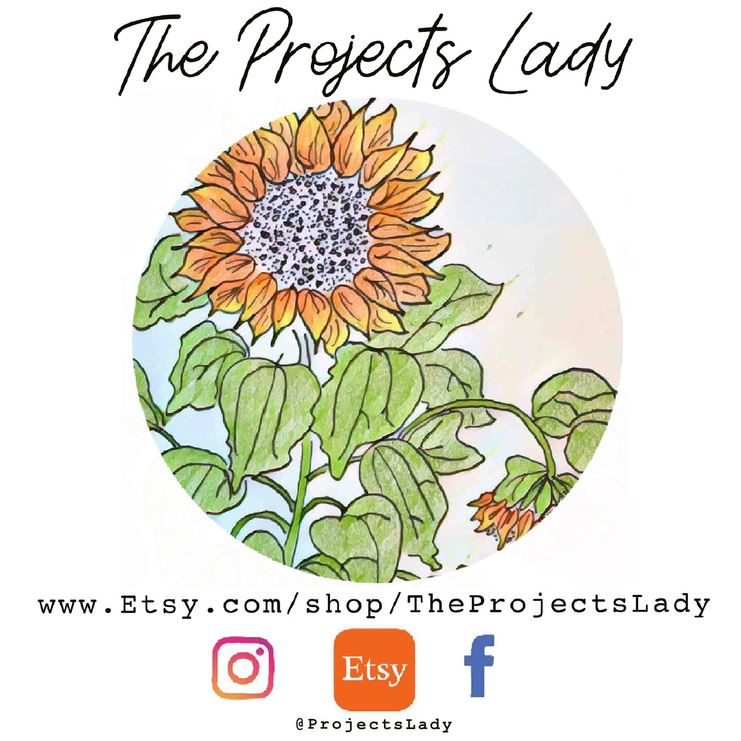 The Projects Lady | Storefront | Michaels