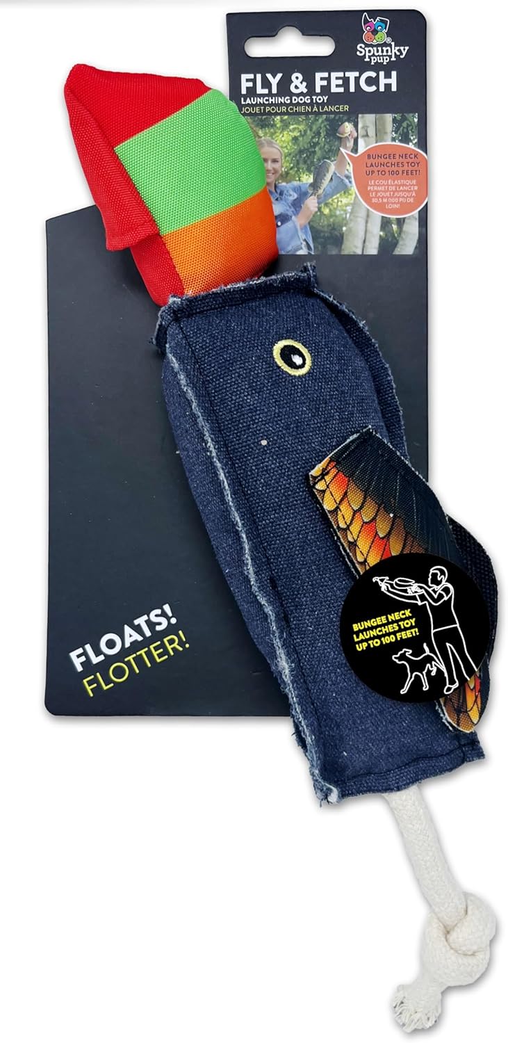 Fly & Fetch Dog Toy - Durable, Floating | Michaels