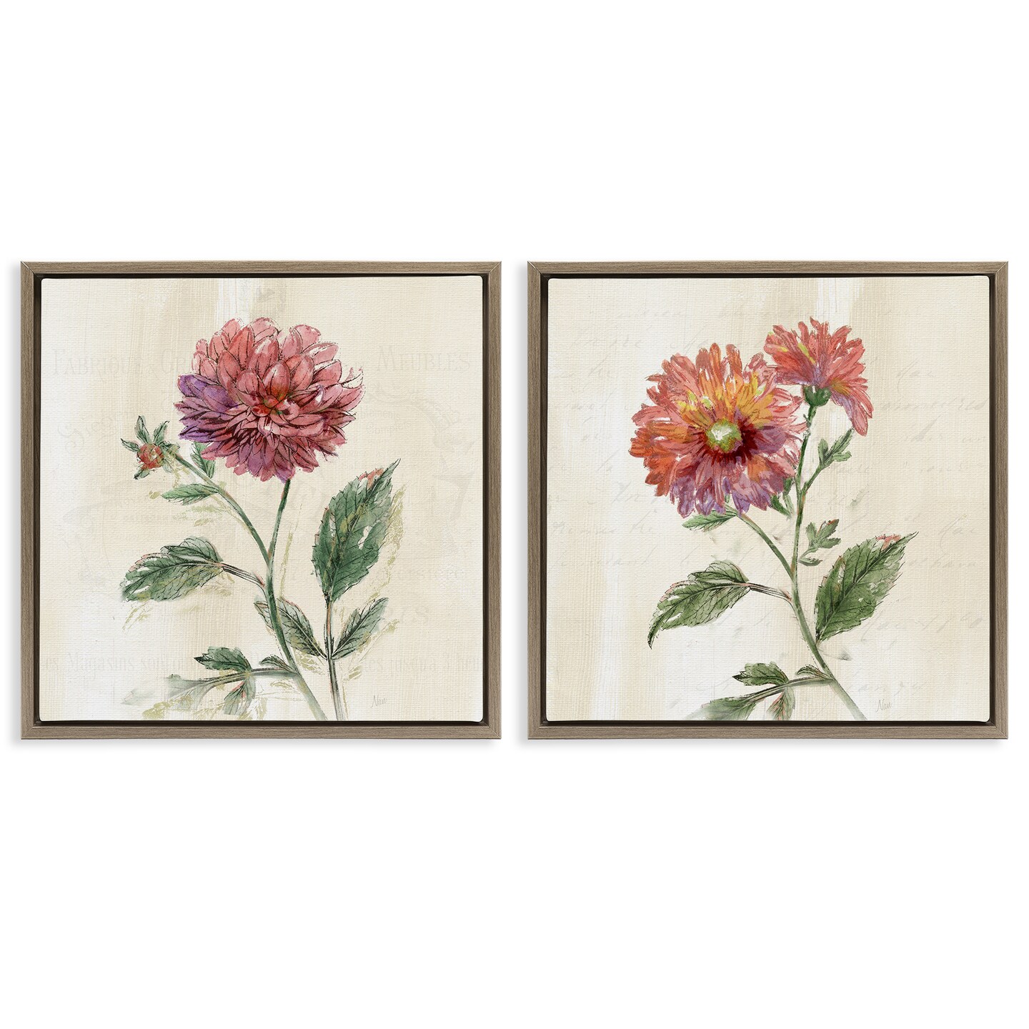 Stupell Industries Dahlia & Mum Sprouts 2pc Floating Frame Set By Nan ...
