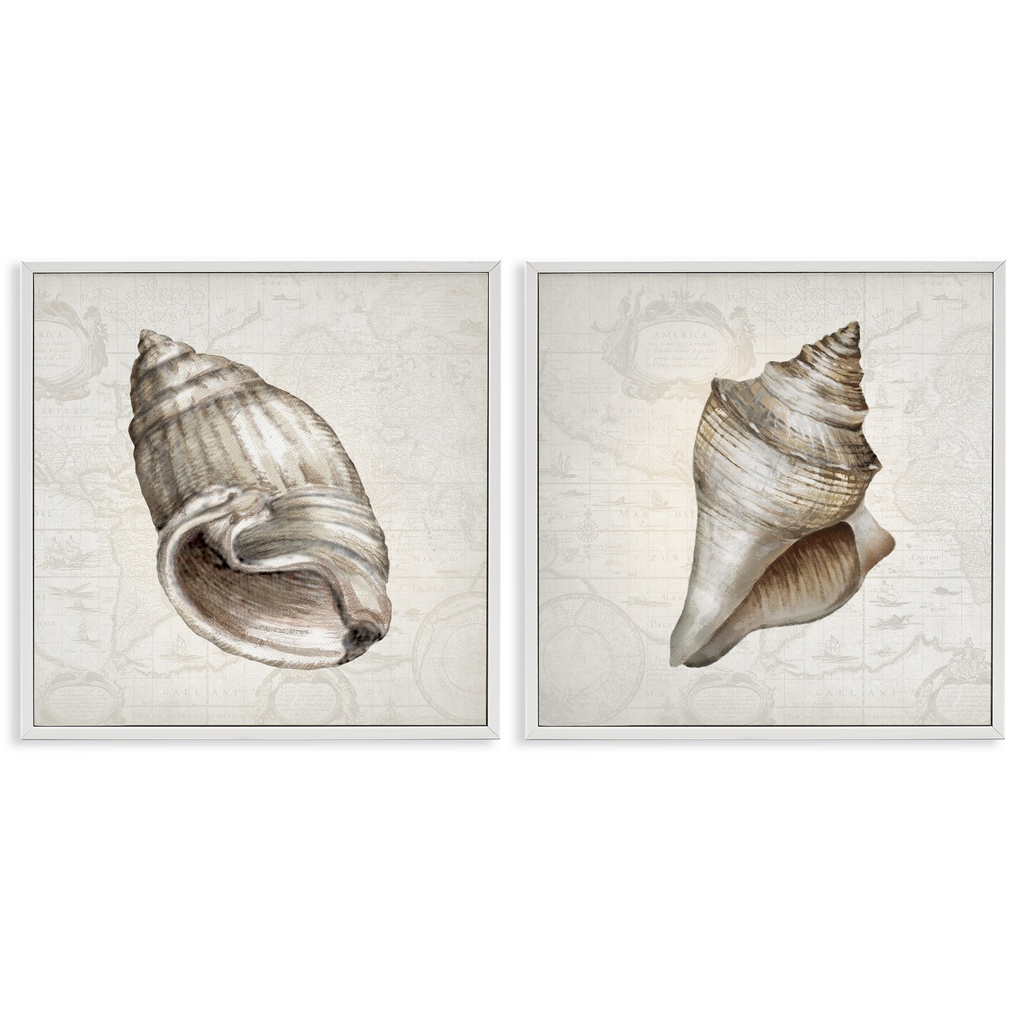 Stupell Industries Conch Shells over Vintage Maps 2pc Framed Giclee Set By Conrad Knutsen | Michaels