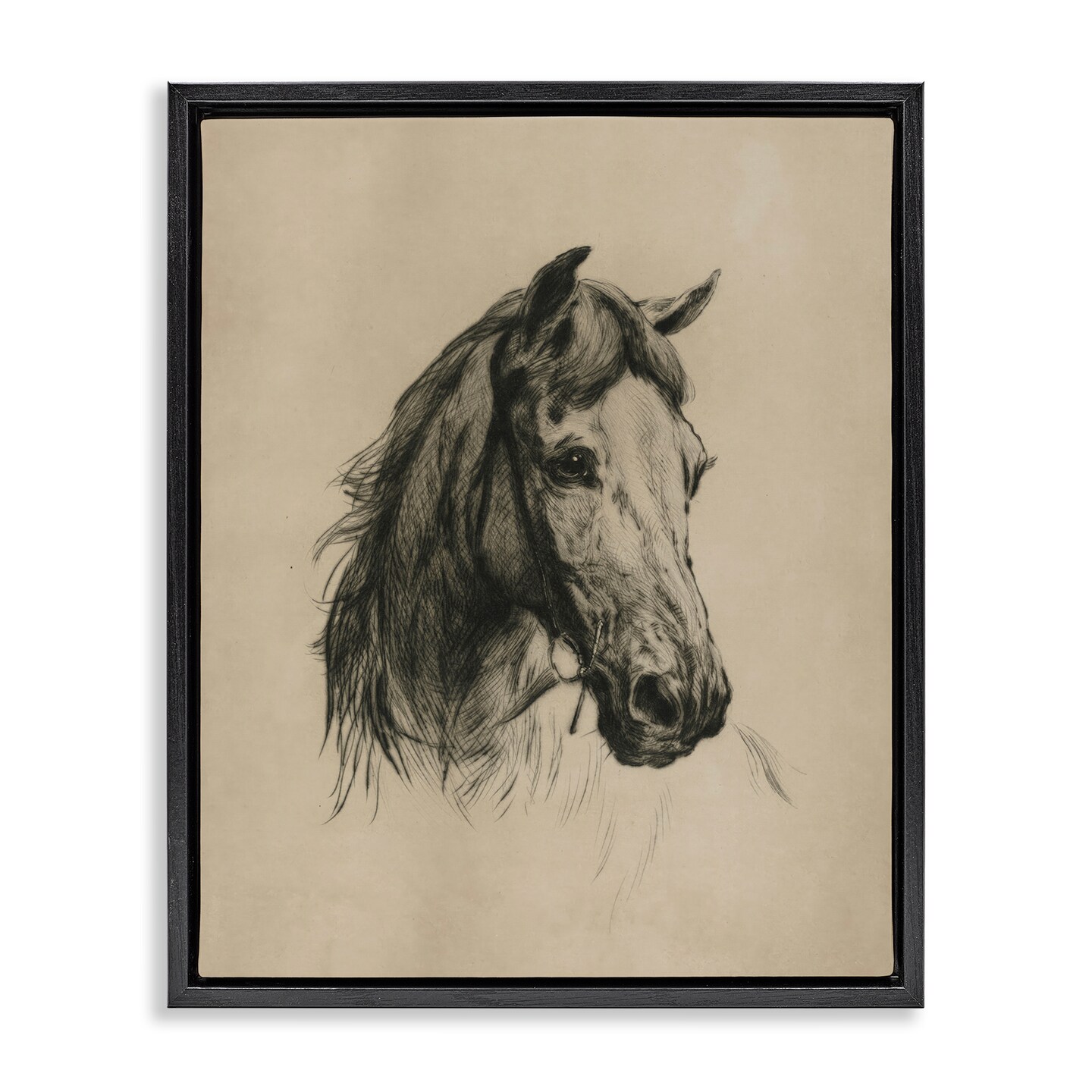 Stupell Industries Charcoal Horse Portrait Floating Frame By Arlington Prints | Michaels