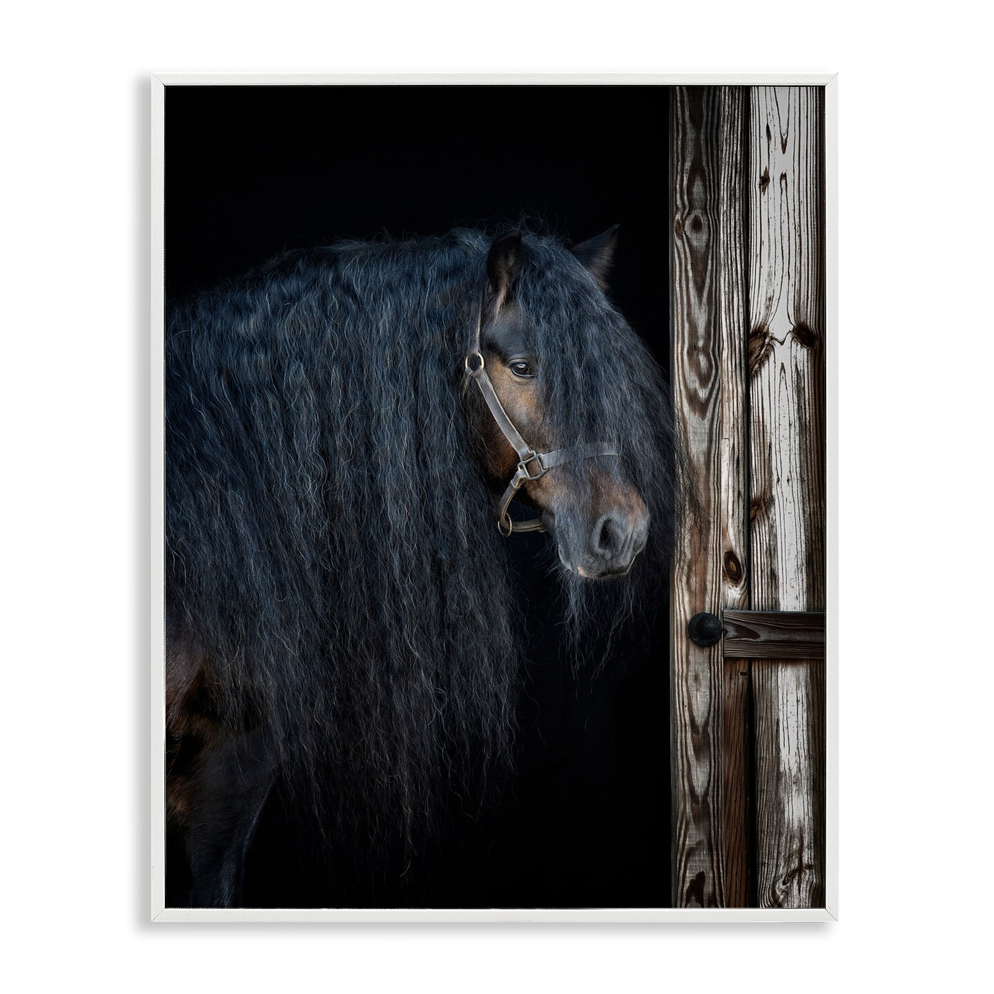 Stupell Industries Horse with Wavy Mane Framed Giclee By PHBurchett ...