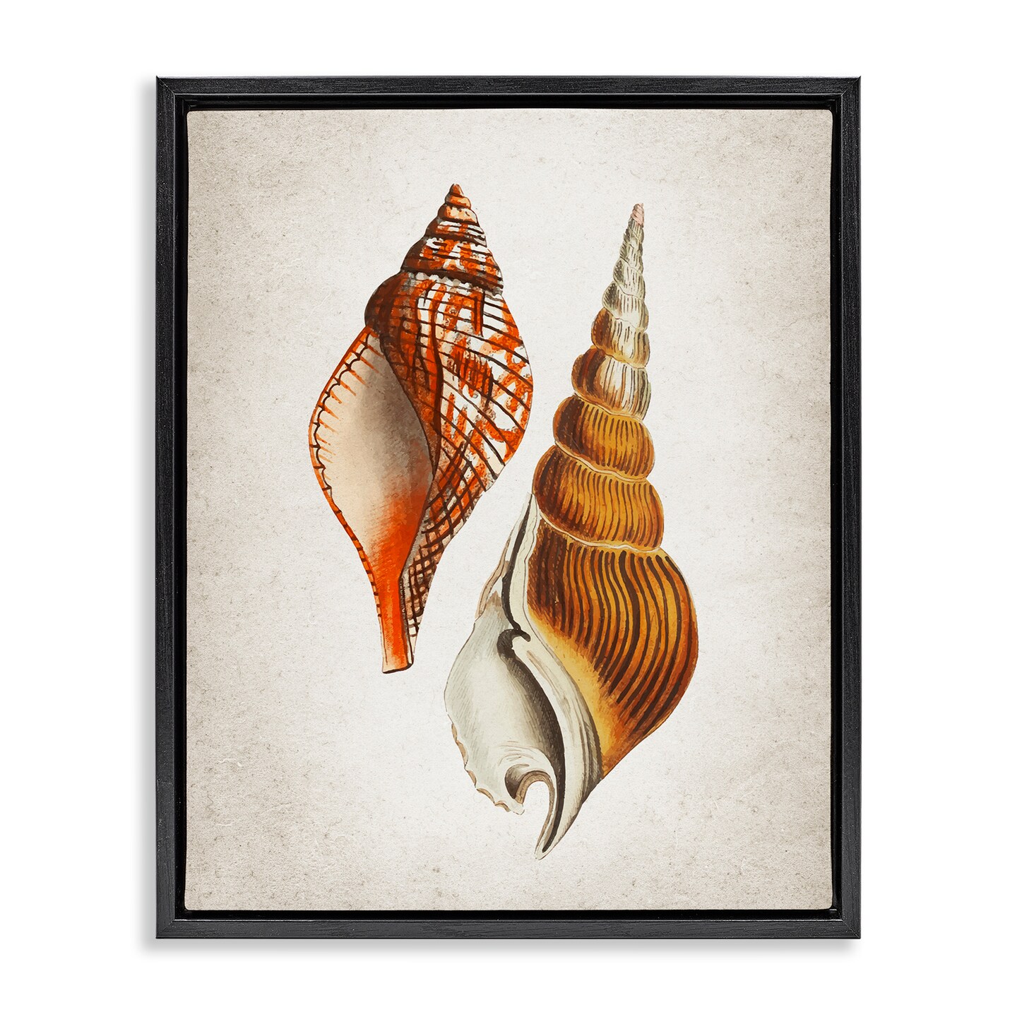 Stupell Industries Twin Spiral Seashells Floating Frame By Kim Allen | Michaels