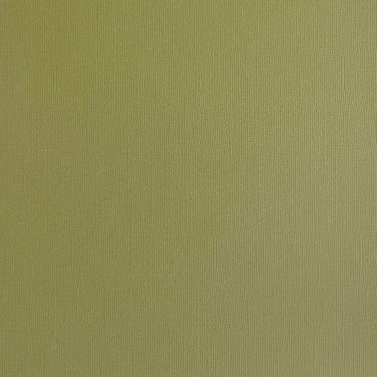 THYME - Textured 12x12 Cardstock - Encore Paper | Michaels