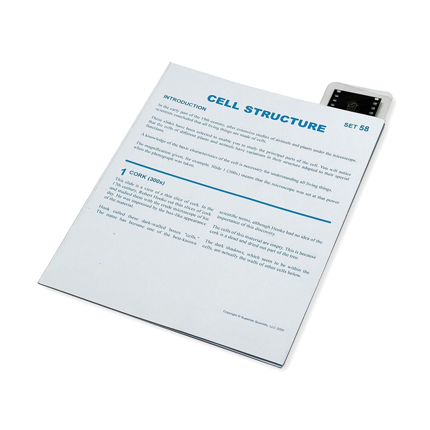 Microslide, Cell Structure, 35mm | Michaels