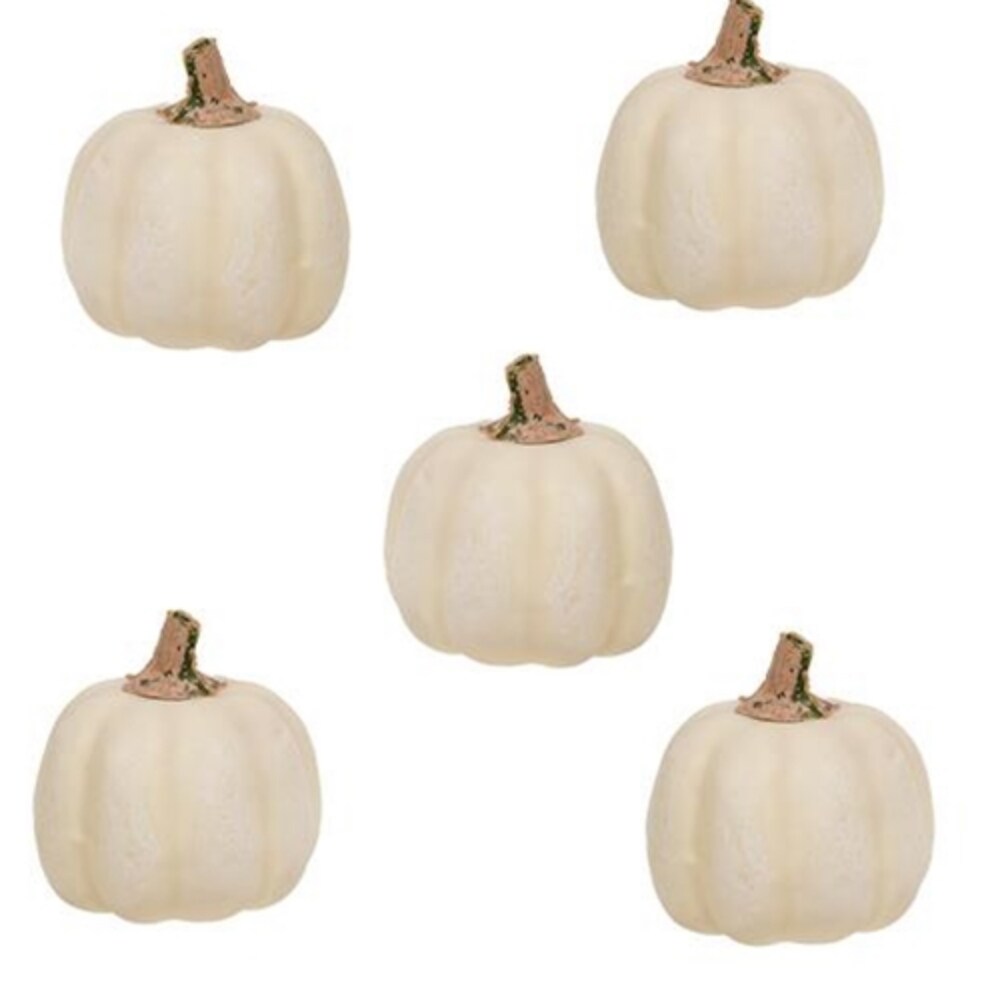 Petite Cream Pumpkins Set of 5 with Rustic Mossy Stems Perfect for ...