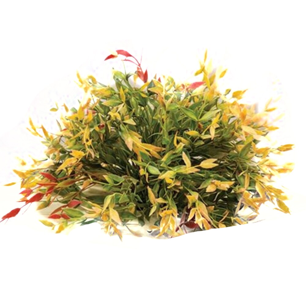 Red/green Velvet Ash Half Sphere 12" | Michaels