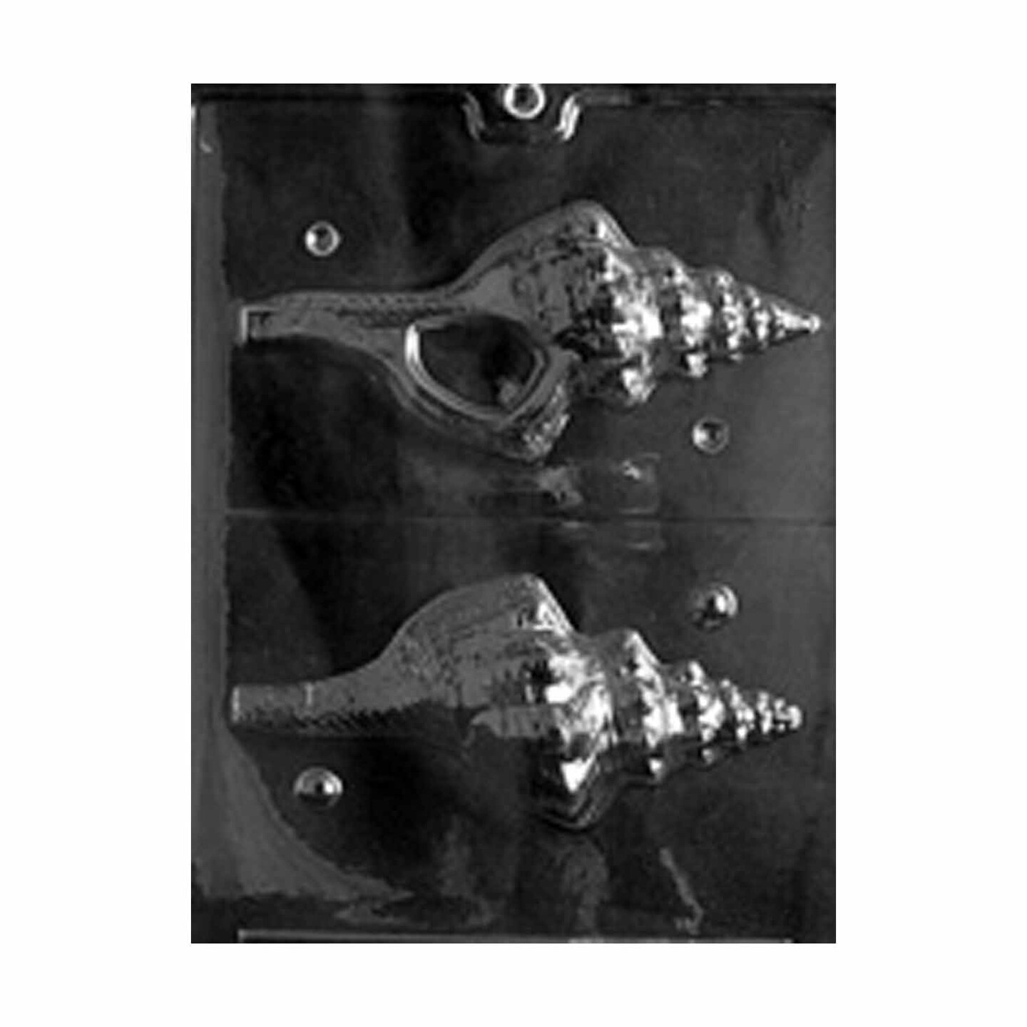 3D Conch Shell Chocolate Mold | Michaels