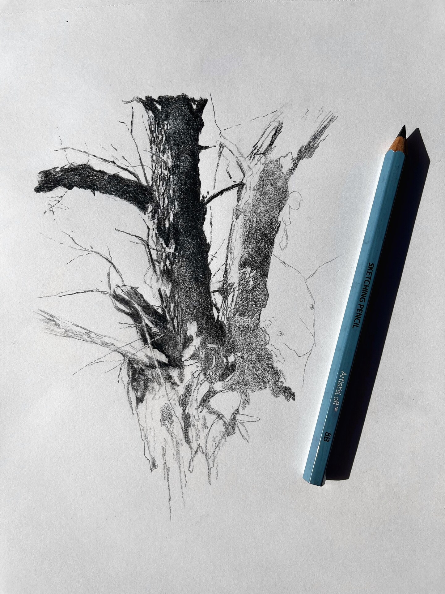Tree Studies, part I | Classes | Michaels