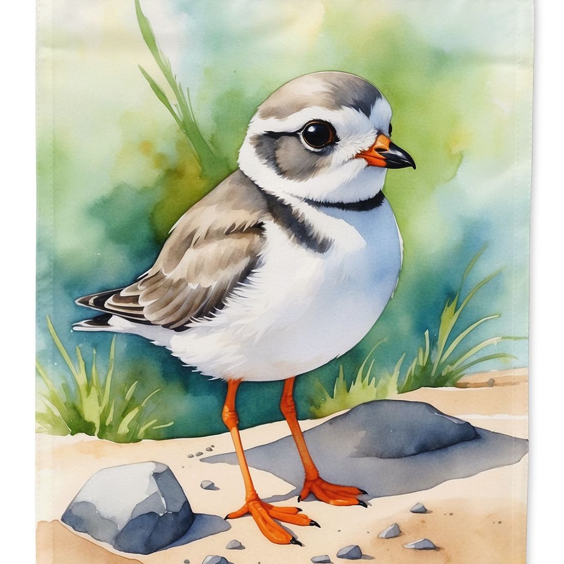 Edge Collections - 28" X 0" - Multicolor - Piping Plover Bird Large ...