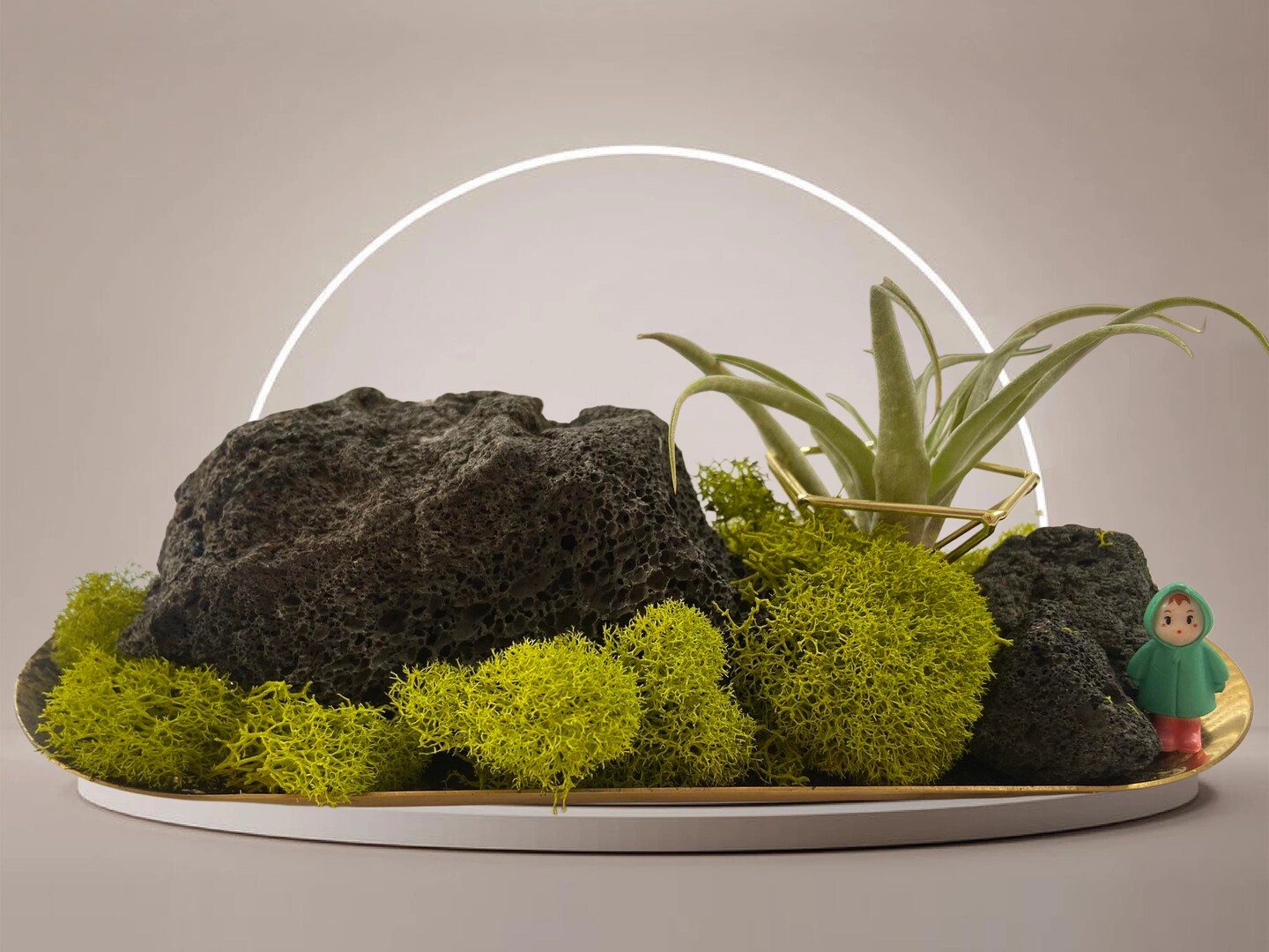 AirClean Terraspace Preserved Moss, Lava Rock, Tillandsia Terrarium Kit ...