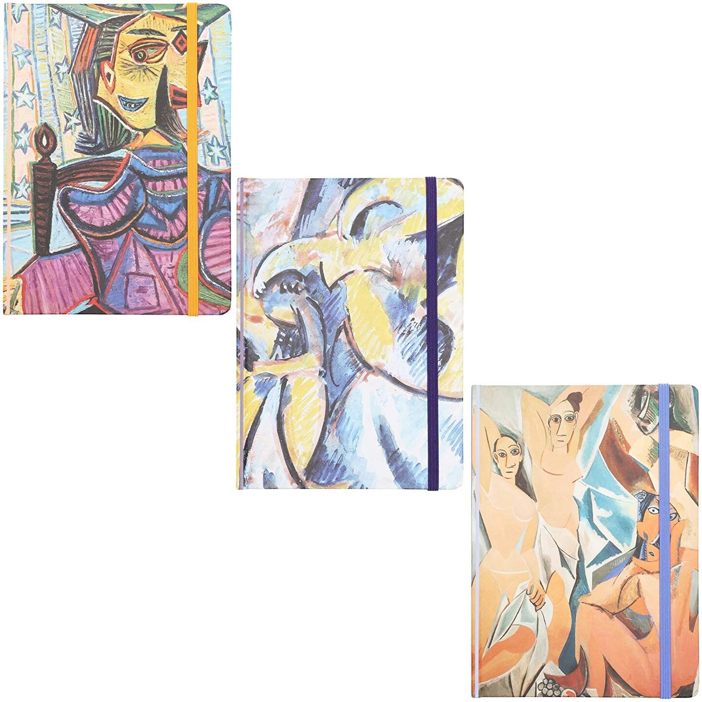 3-Pack Pablo Picasso Hard Cover Diary Journals Notebooks, 160 Lined ...
