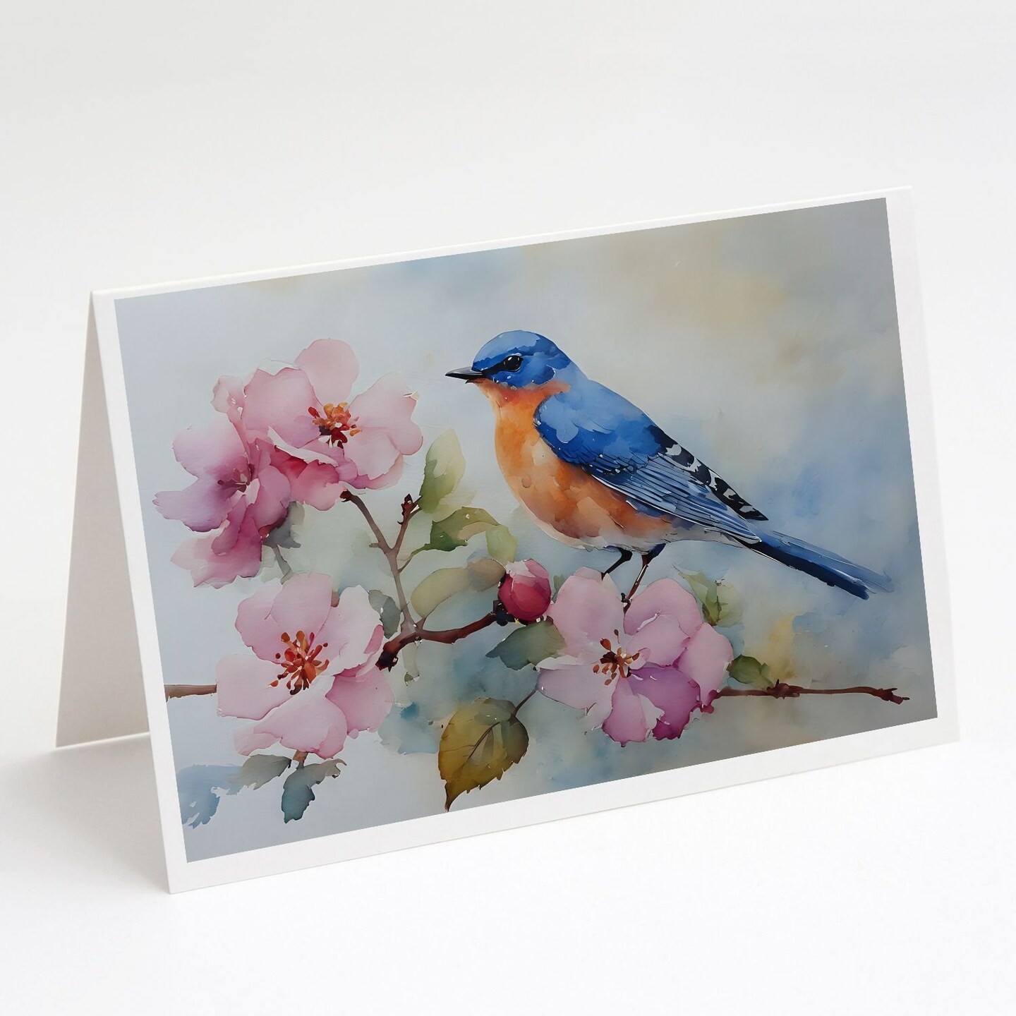 Edge Collections - 5" x 7" - Fun and Whimsical Greeting Cards ...