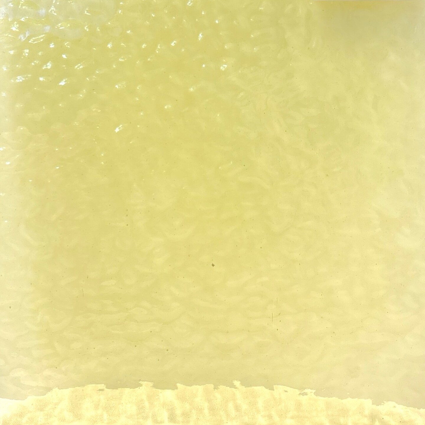 Wissmach CITRON English Muffle Stained Glass Sheet – Vintage Ripple ...