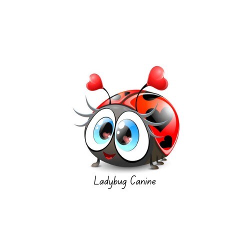Ladybug Canine | Storefront | Michaels