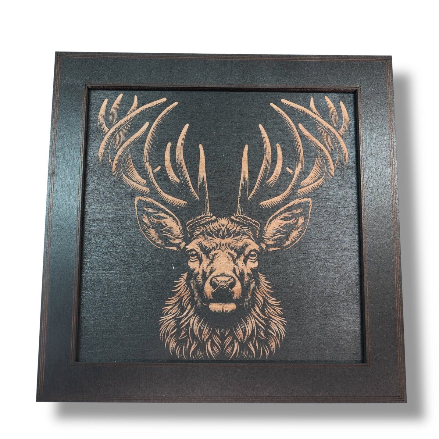 Framed Art - CUSTOM - Stag | Michaels