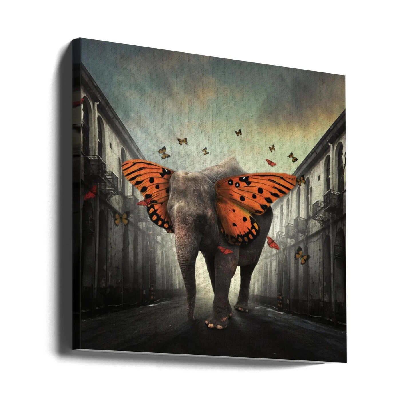 Butterphant Square 24x24 Canvas - Corporate Office Art | Michaels