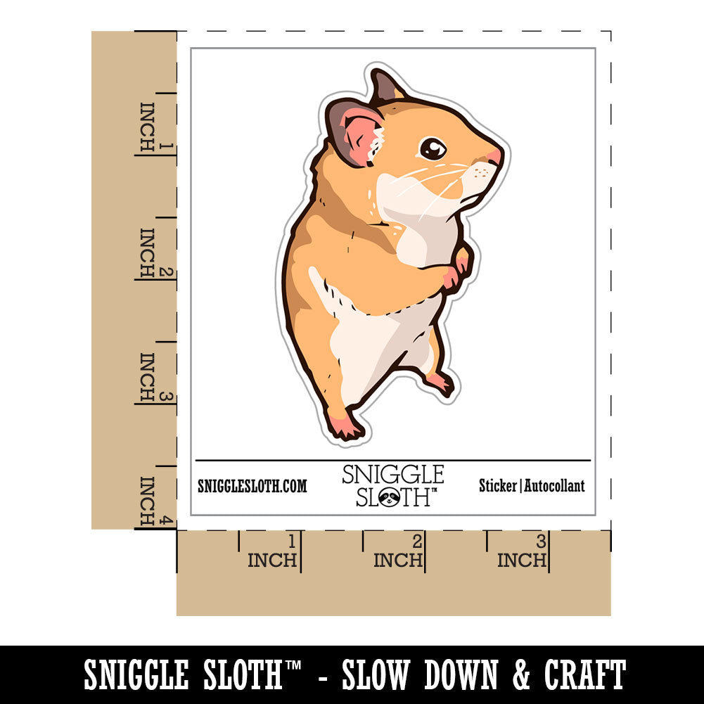 Water Bottle Sticker Set Wary Suspicious Syrian Hamster Standing Cute ...
