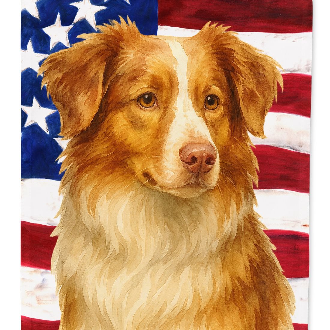 Edge Collections - 28" X 40" - Red - Merle Australian Shepherd Large ...
