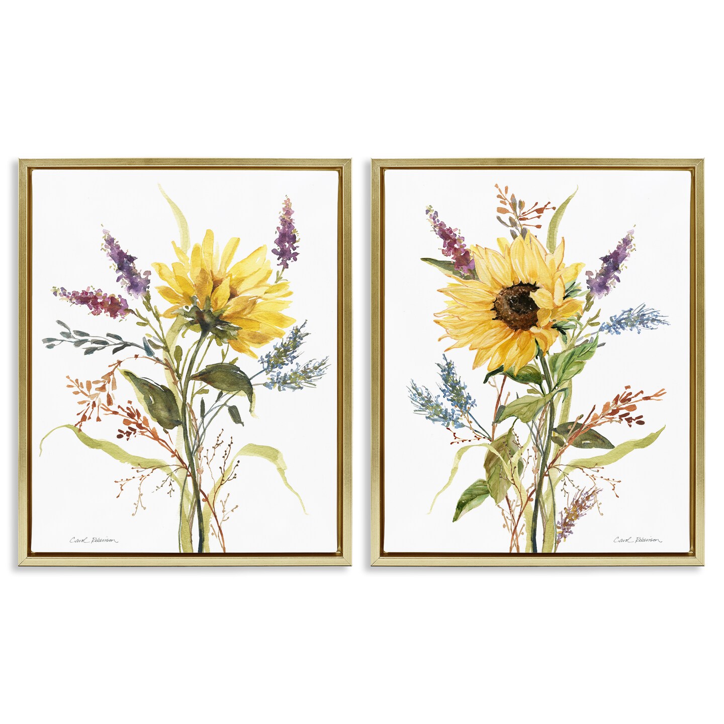 Stupell Industries Wild Blooms Bundles 2pc Floating Frame Set By Carol ...