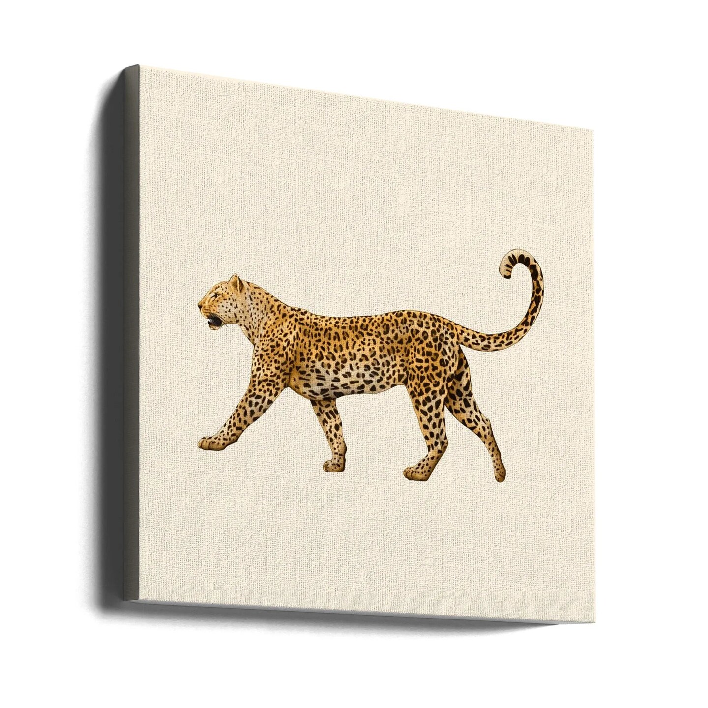 Leopard Square 24x24 Canvas - Corporate Office Art | Michaels