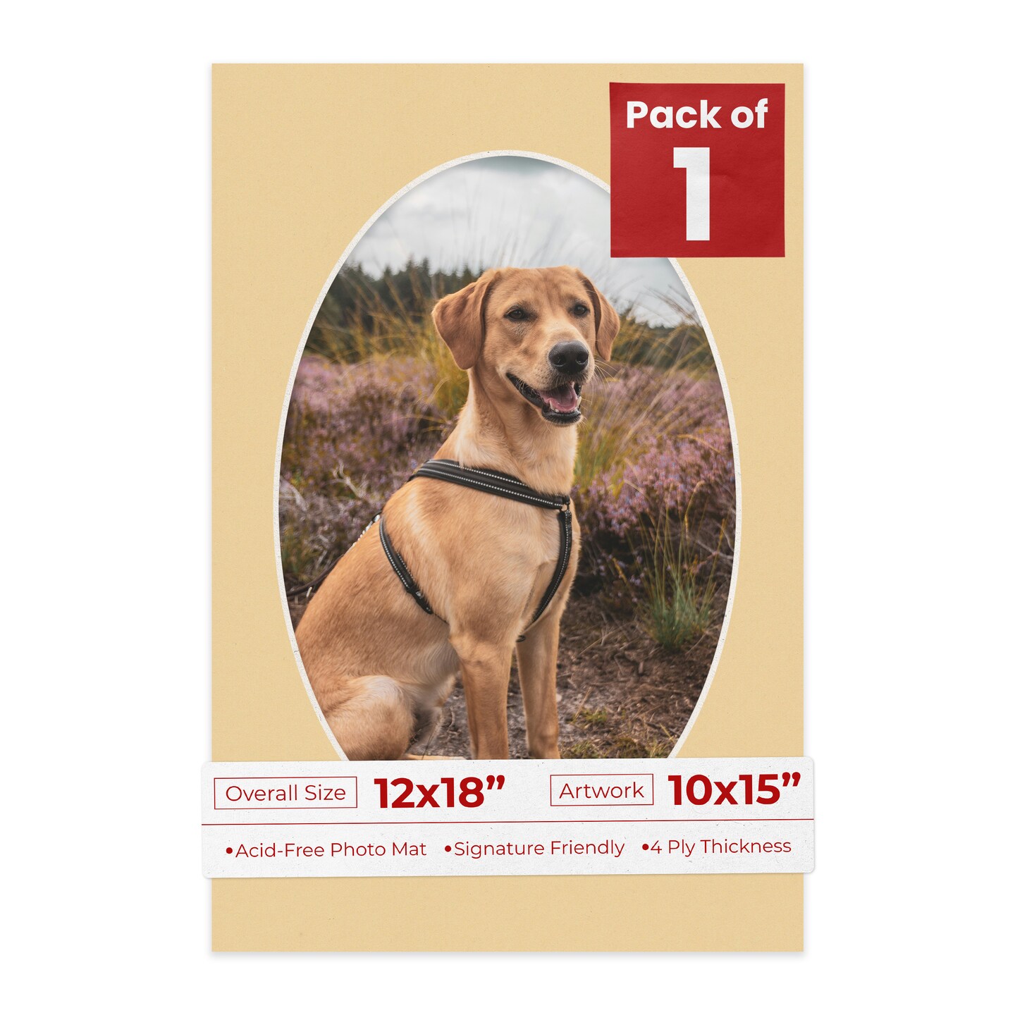 Beige Mat Board for 12x18 Frames - Oval Opening for 10x15 Photos, Color ...