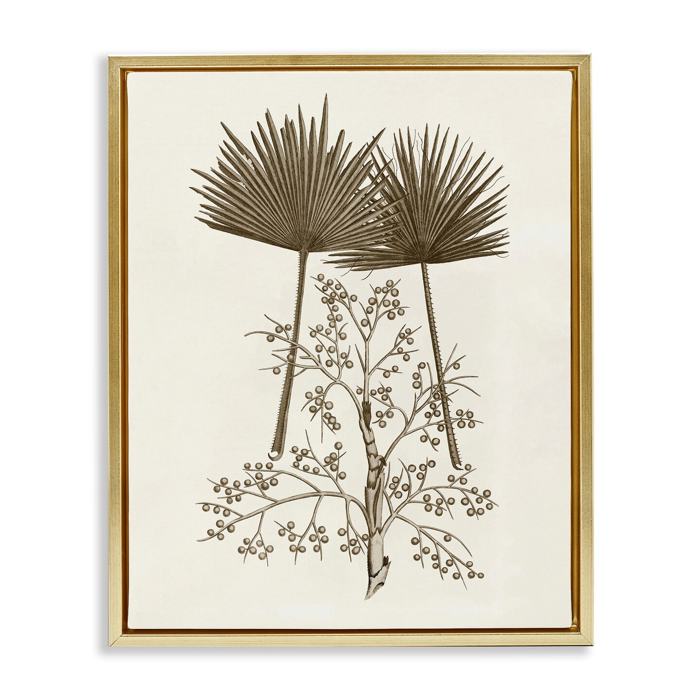 Stupell Industries Palm Leaf & Olive Branches Floating Frame Design by ...