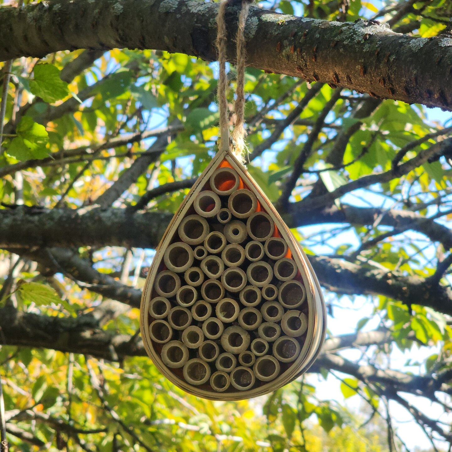 Pollinating Palace Eco-Friendly Wood Bee Butterfly Bird House Handmade ...