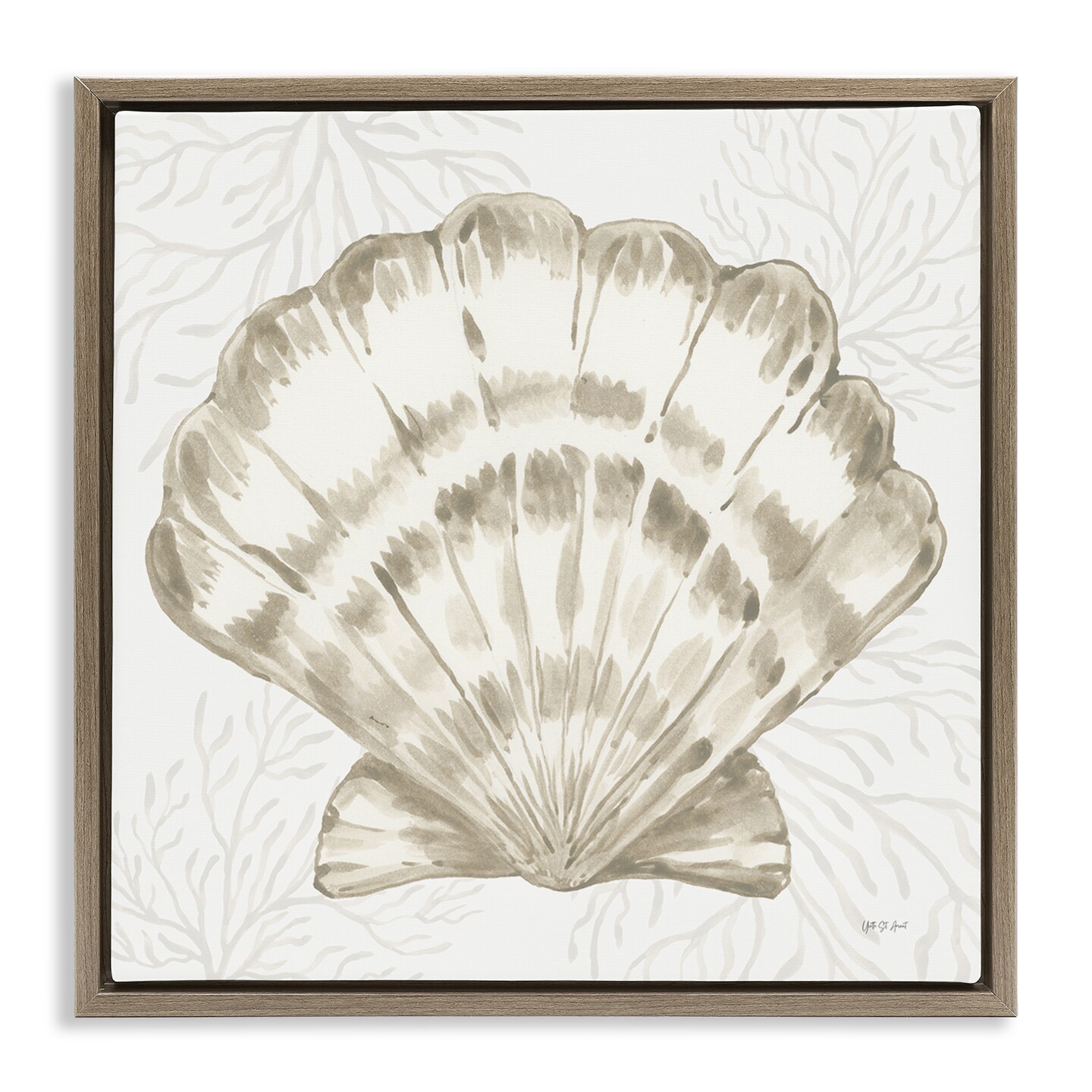 Stupell Industries Clam Shell & Neutral Coral Floating Frame By Yvette ...