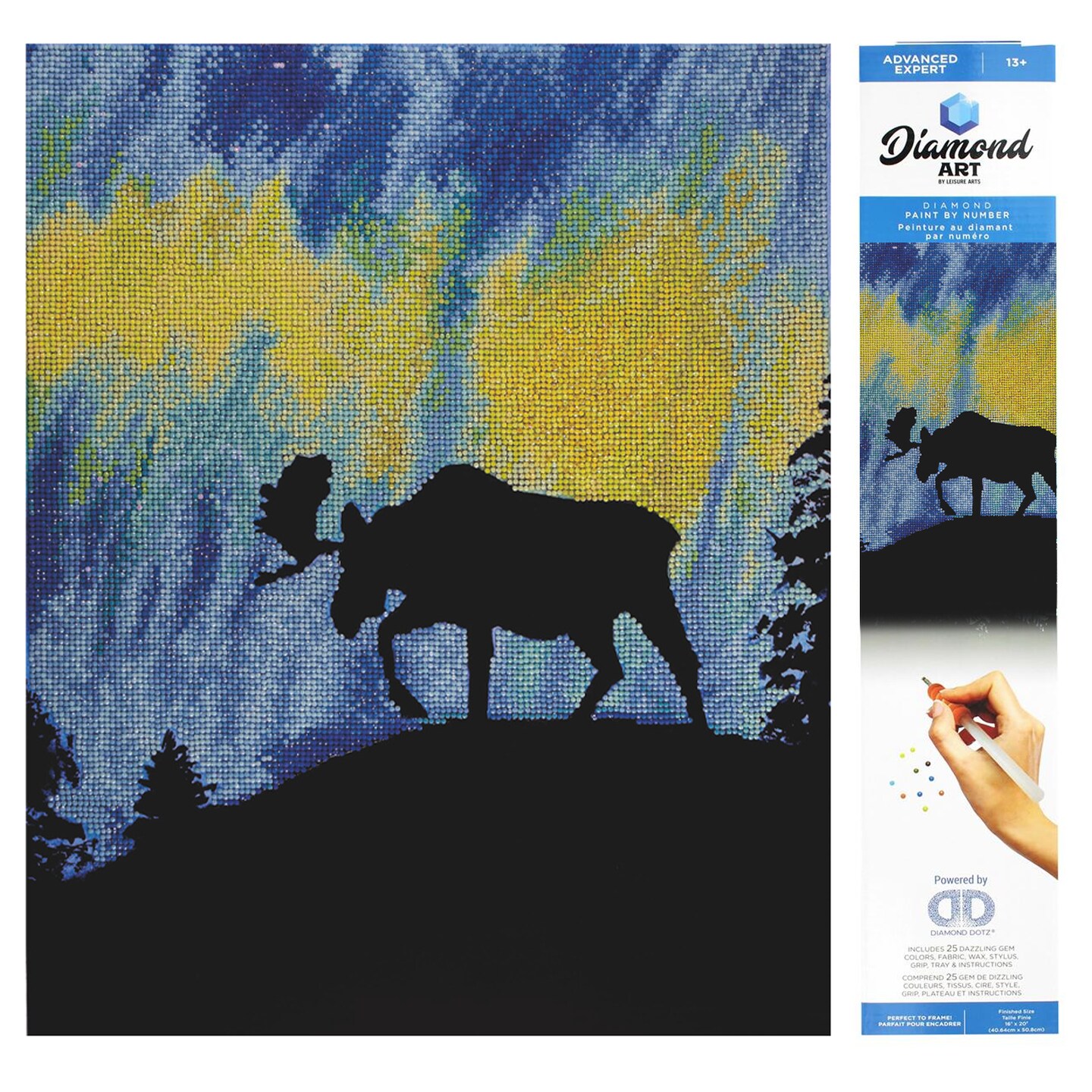 Diamond Art By Leisure Arts Diamond Painting Kits For Adults 16"X20 ...