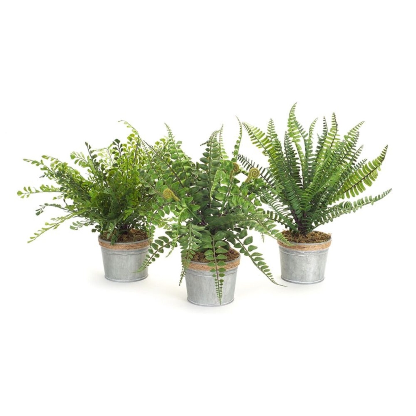 Melrose Artificial Fern Potted Plants - 14.5” - Set of 3 | Michaels