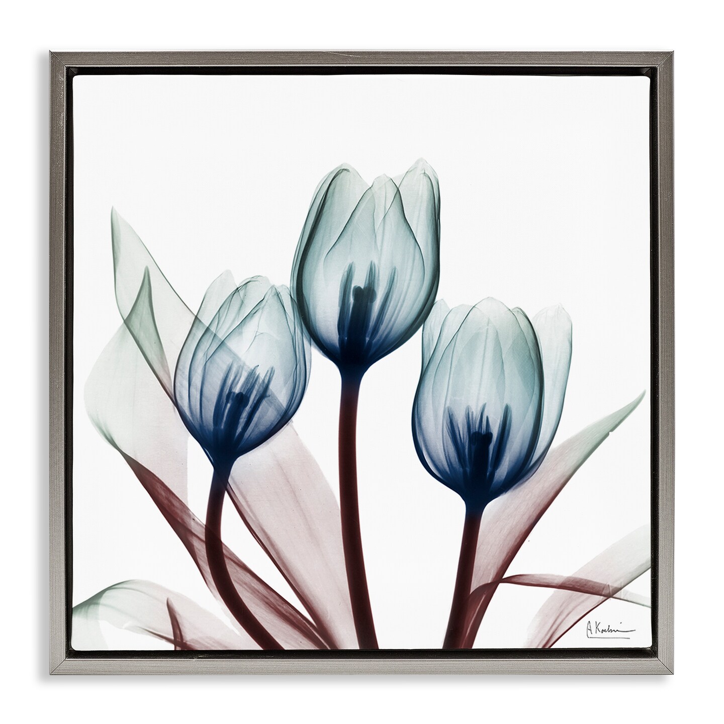 Stupell Industries Chic Blue Translucent Tulips Floating Frame Design ...